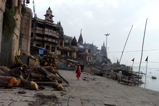 Shinya’s life in India