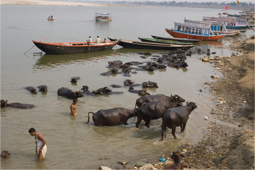 Shinya’s life in India
